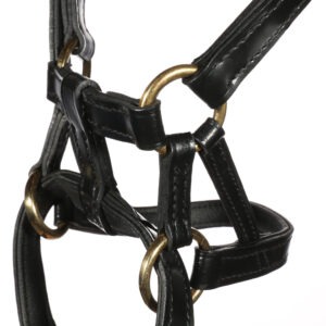 Leather Headcollar | Adjustable & Anti-Pull - Dogmatic UK