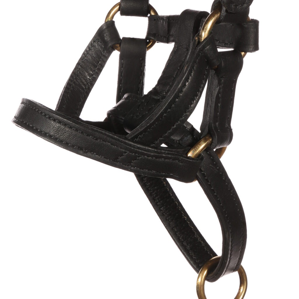 Leather Headcollar | Adjustable & Anti-Pull - Dogmatic UK