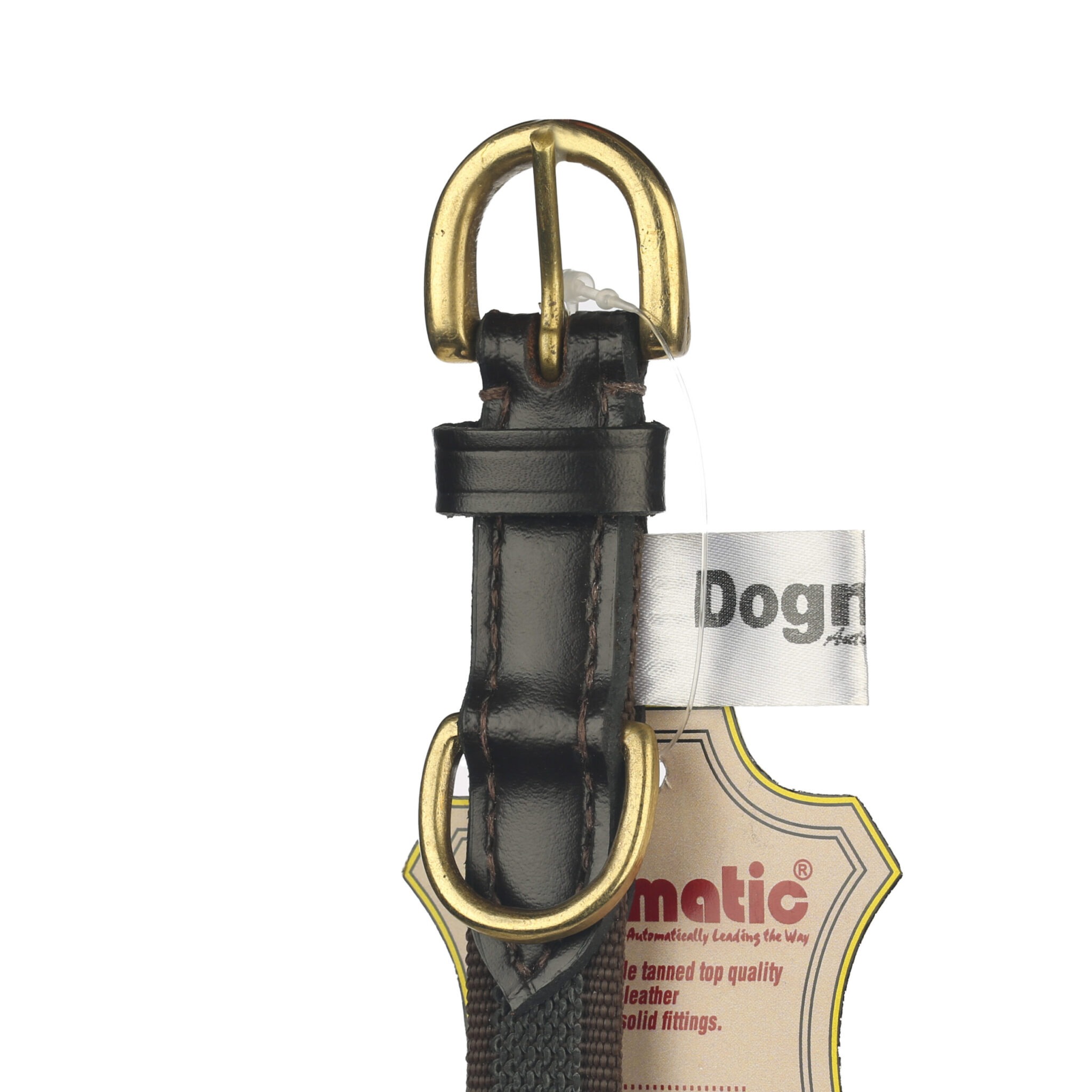 Collars for Dogs That Pull | Dogmatic