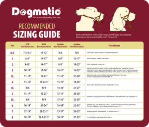 Dogmatic Leather Headcollar - Dogmatic