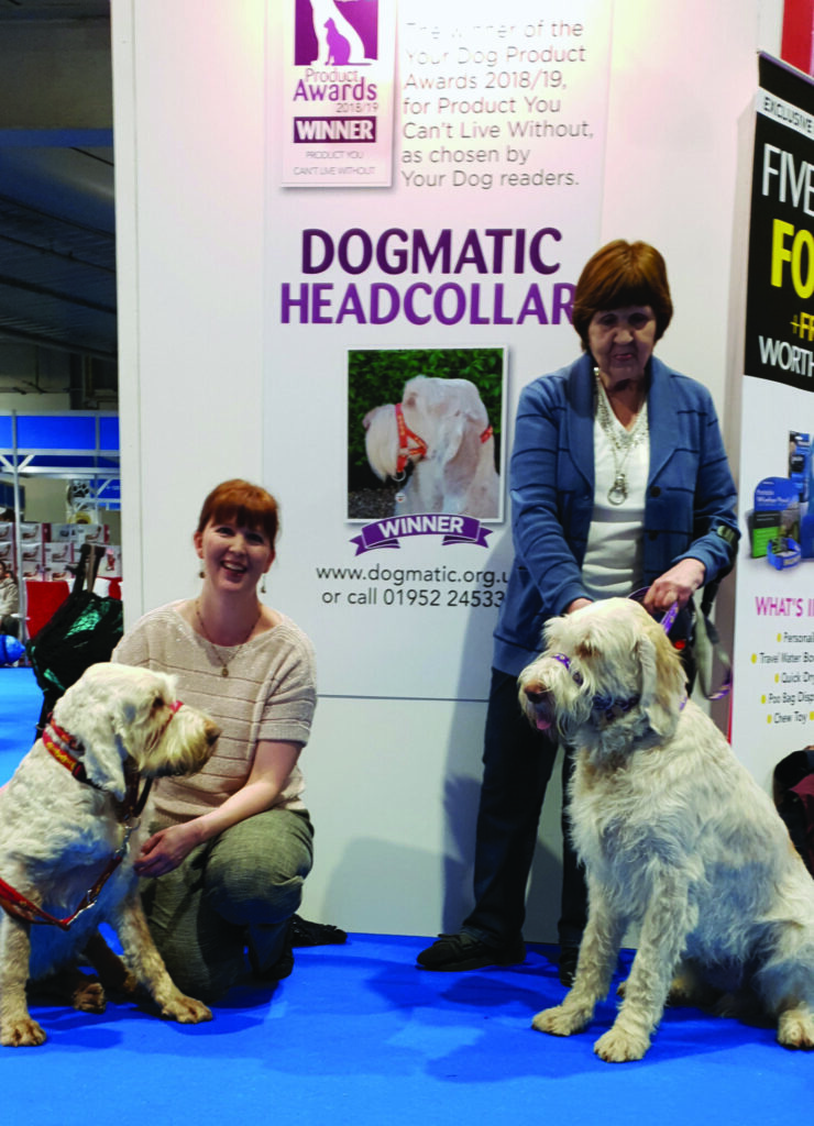 About Us | Read Our Story & Learn About Our Team | Dogmatic