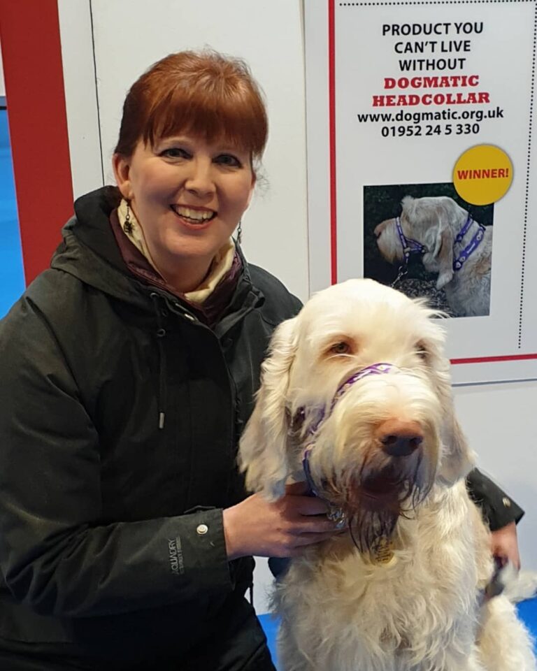 Dog head collar | Padded Headcollars - Dogmatic