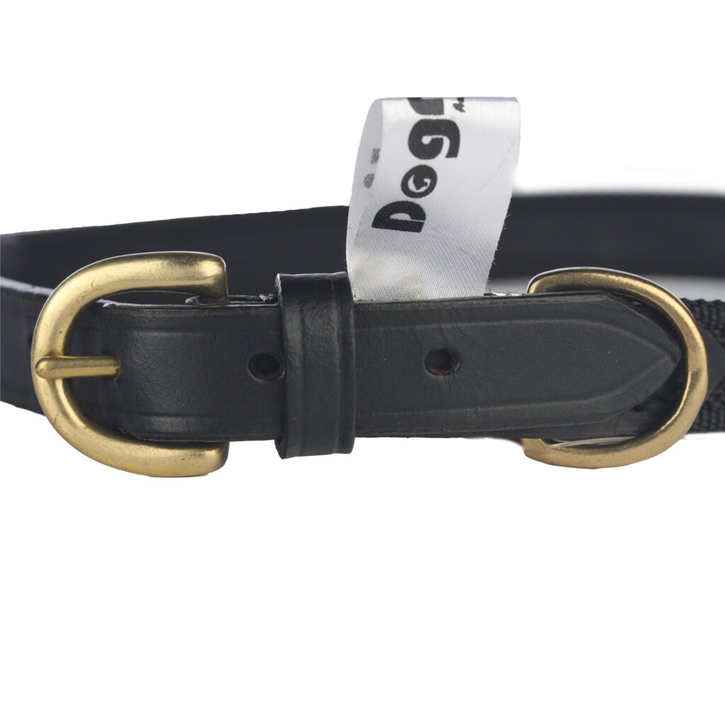 Gripper Collars | Collars With Buckles | Dogmatic
