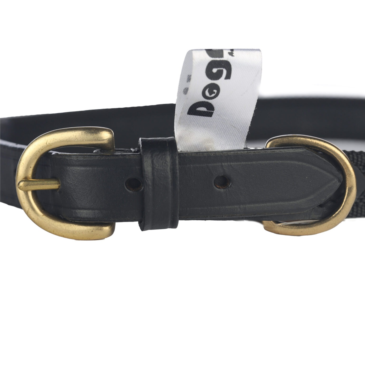 Gripper Collars | Collars With Buckles | Dogmatic